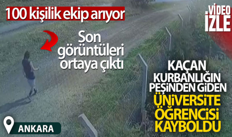 Kaçan kurbanlığın peşinden giden tıp öğrencisinin son görüntüleri ... Kaçan kurbanlığın peşinden giden tıp öğrencisinin son görüntüleri ...