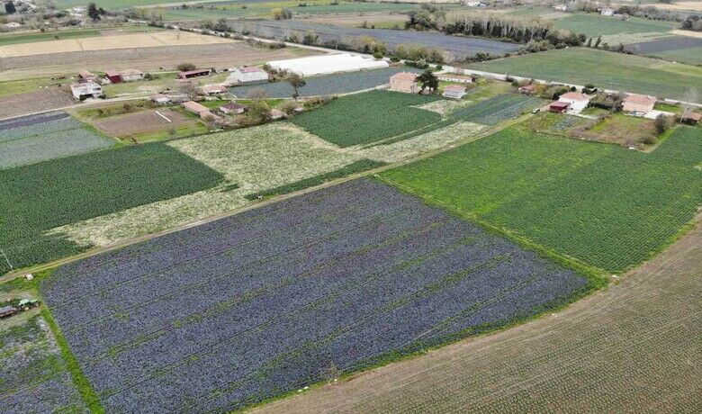 Türkiye’deki 440 ova özel koruma kalkanında | Gündem | BAFRAHABER.COM ...